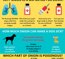 Galleryr - Premium Infographic Gallery